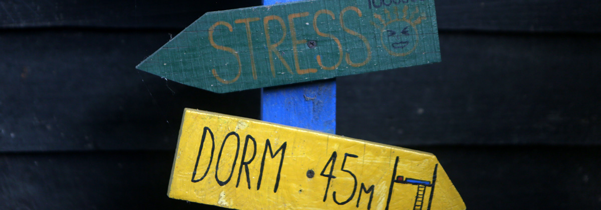 La Iguana Perdida – Santa Cruz – Lake Atitlan. Guatemala
